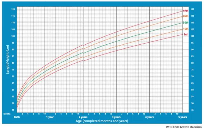 Siatki centylowe – przewodnik po ocenie masy i wzrostu dziecka ...
