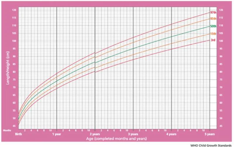 Siatki centylowe – przewodnik po ocenie masy i wzrostu dziecka ...
